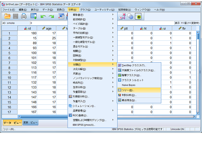 IBM SPSS Decision Trees | 決定木分析 | StatsGuild Inc.