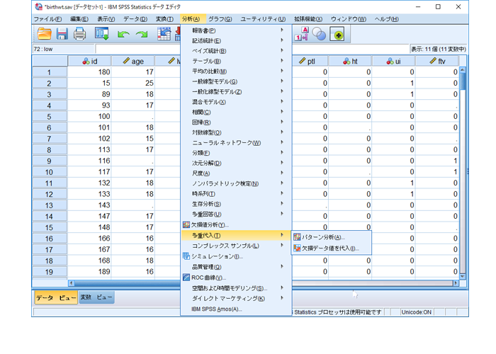 IBM SPSS Missing Values | 欠損値の分析と多重代入法 | SPSSオプション